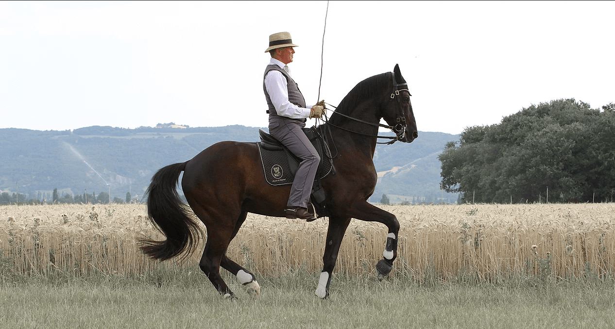 L'école de légèreté de Philippe Karl